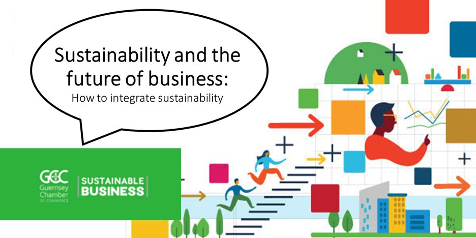 Sustainability and the future of business: How to integrate ...